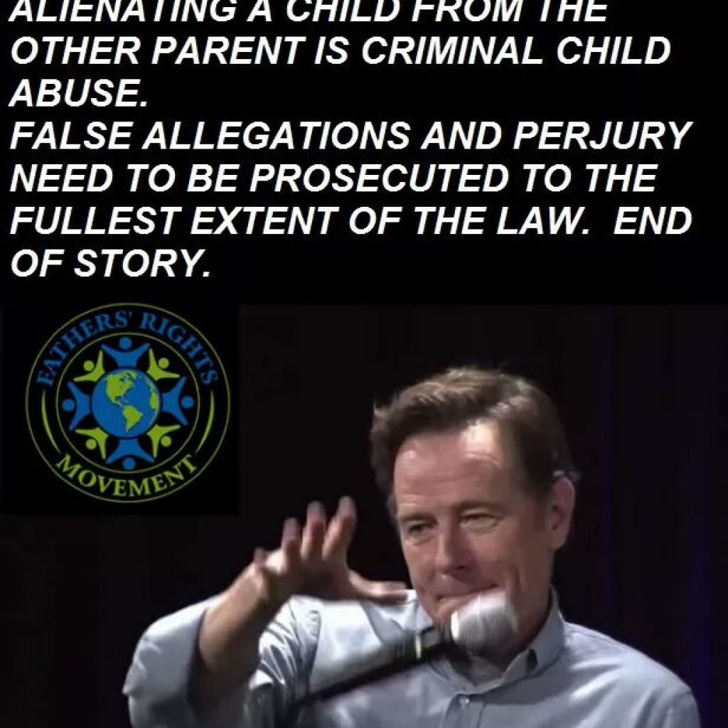 Enough with the parent alienation accusation if it’s not true. - Single ...