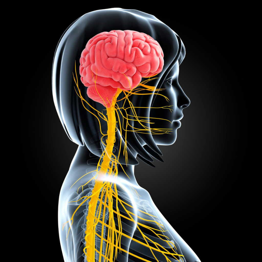 Nervous System Regulation for Trauma Recovery - Single Mother Survival ...