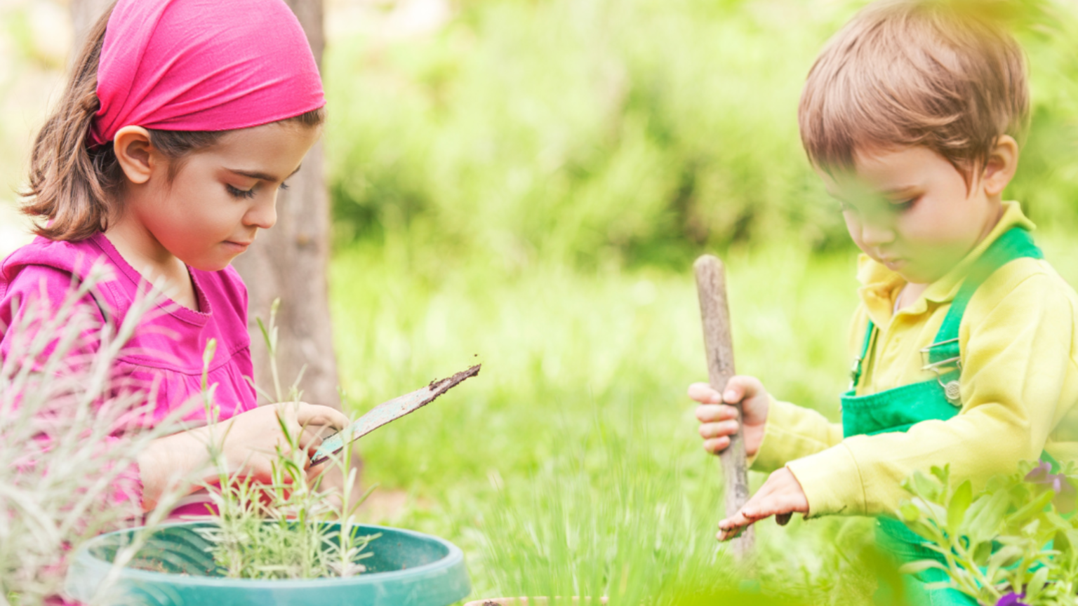 Five Effective Strategies to Encourage Independence and Problem-Solving ...